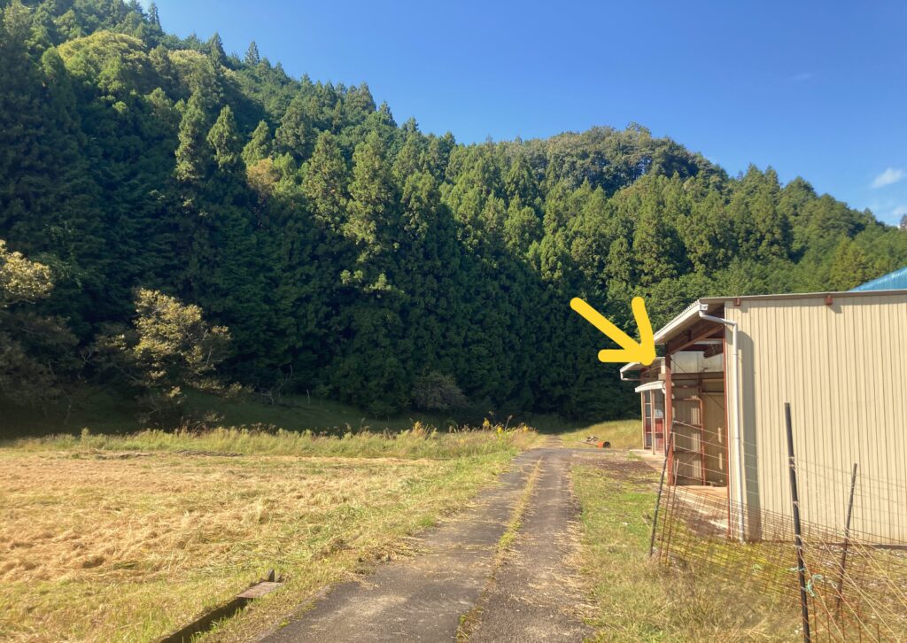 IMG_6321 | 関さんぽ